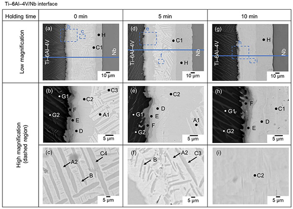 12. Microstructural evolution and mechanical characterization of Nb-interlayer-inserted Ti-6Al ...