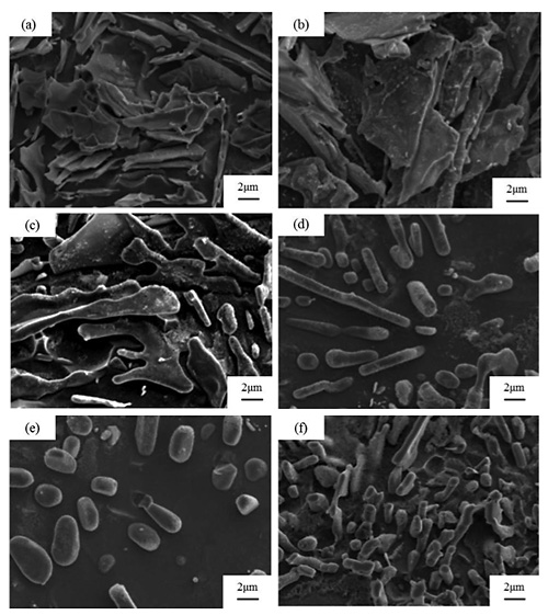 08.Effects of Eutectic Si Particle Morphology on Bendability of Al-11 ...